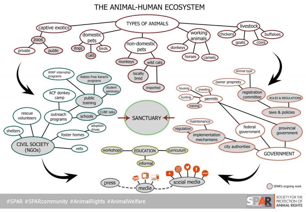 Spar Overview and New Map – SPAR